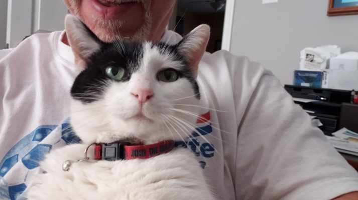 How Does A Cat React To A Crying Owner – CatsForLife