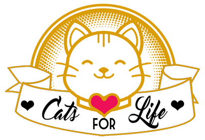 How to Cat-Proof Your Home: A Safety Guide – CatsForLife